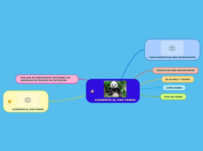 CUIDEMOS AL OSO PANDA - Mind Map
